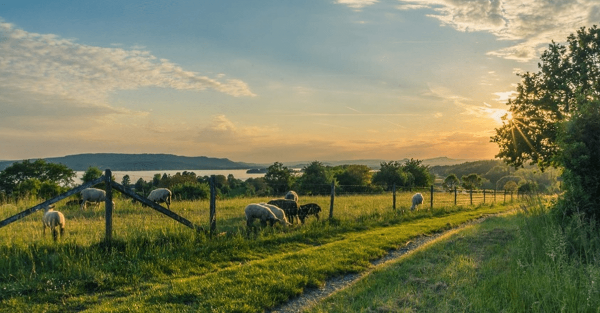 TJ/SP afasta impenhorabilidade de pequena propriedade rural - Migalhas