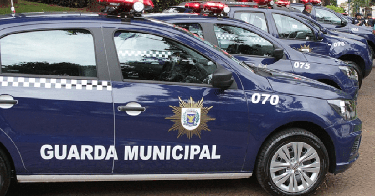 STF autoriza patrulha preventiva comunitária por guardas municipais ...