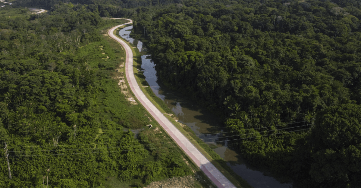 Às vésperas da COP30, MPF age por assegurar territórios quilombolas - Migalhas